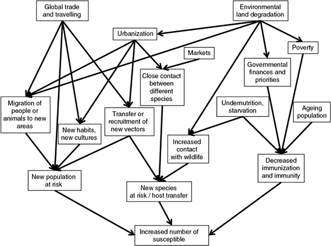 The effect of human interference on ecology and infectious diseases ...