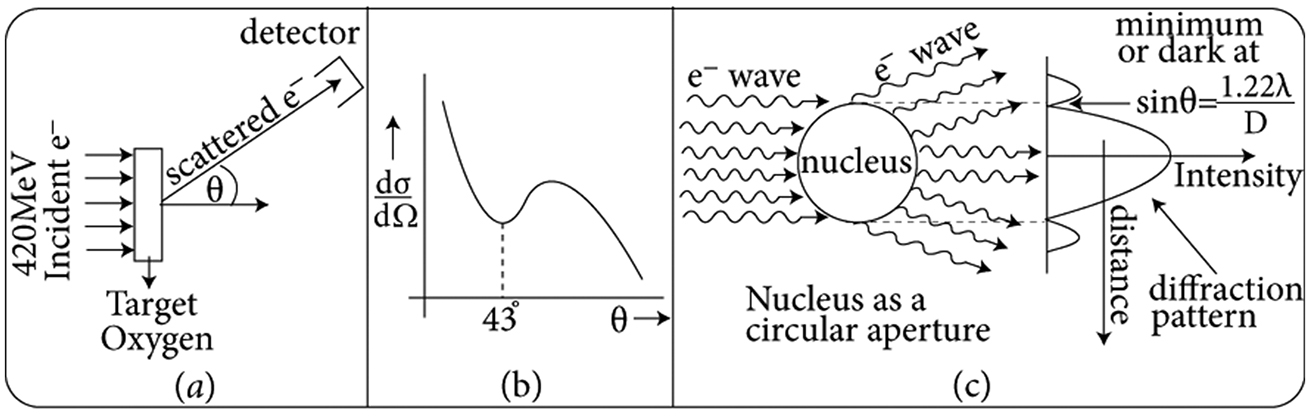 General properties of the nucleus - Book chapter - IOPscience