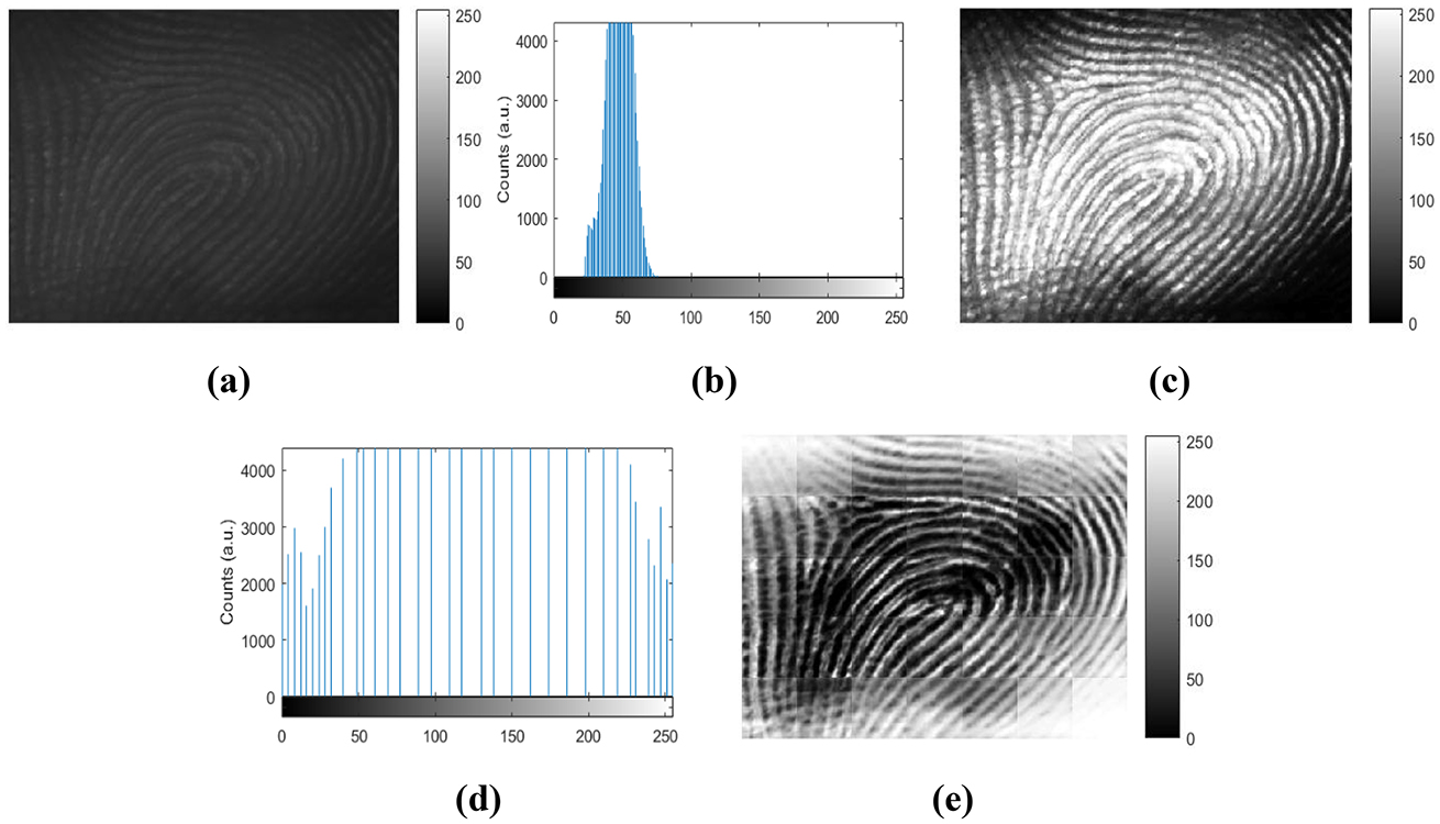 Biometrics - Book chapter - IOPscience