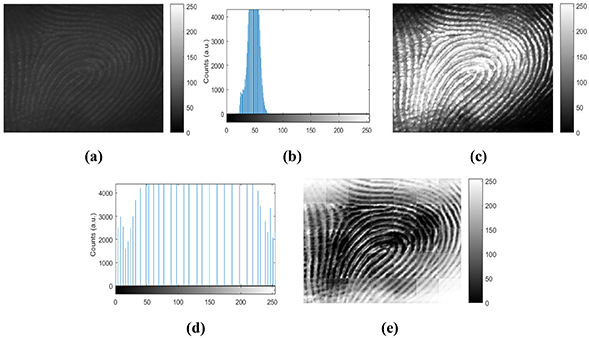 Biometrics - Book chapter - IOPscience