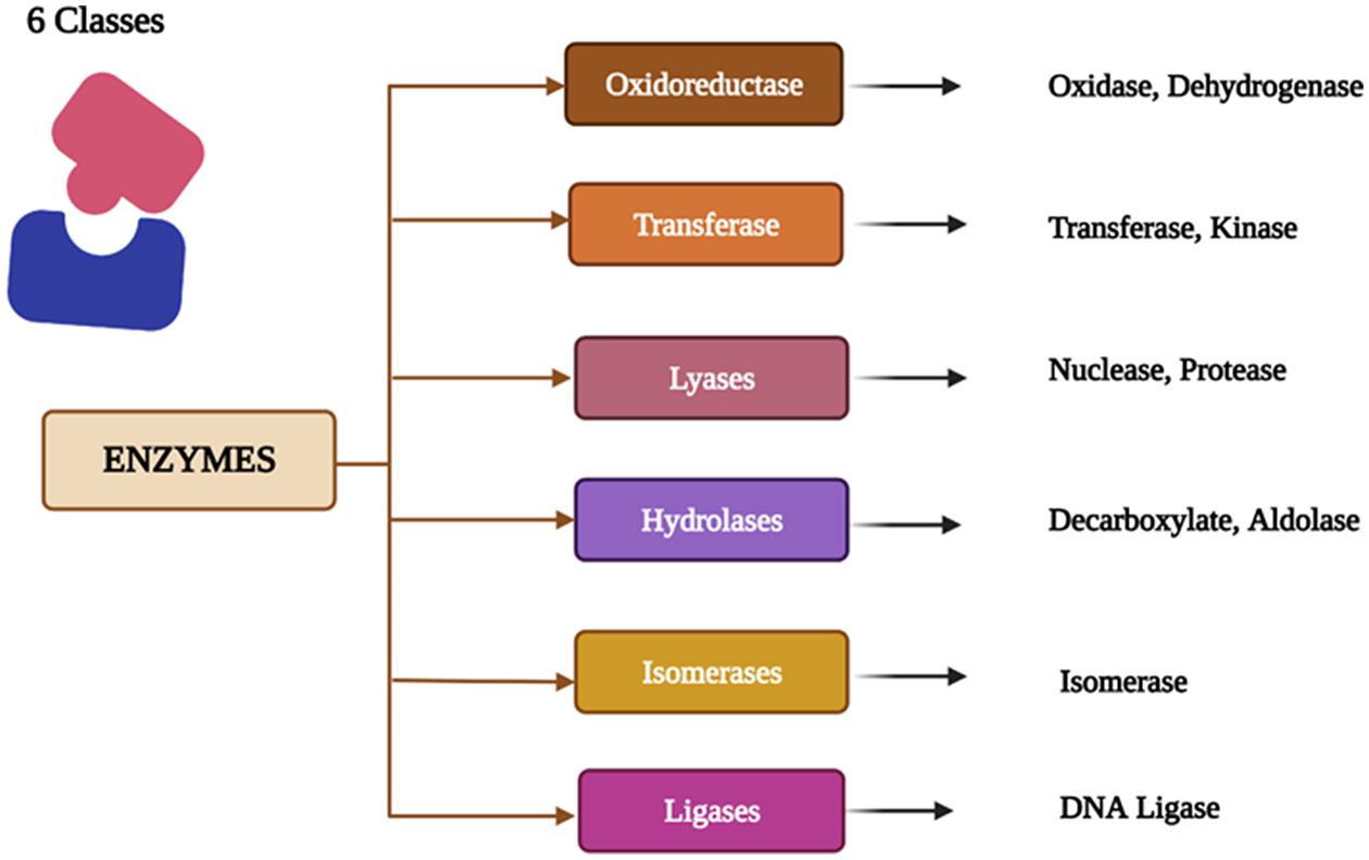 Introduction to enzymes and their applications - Book chapter - IOPscience