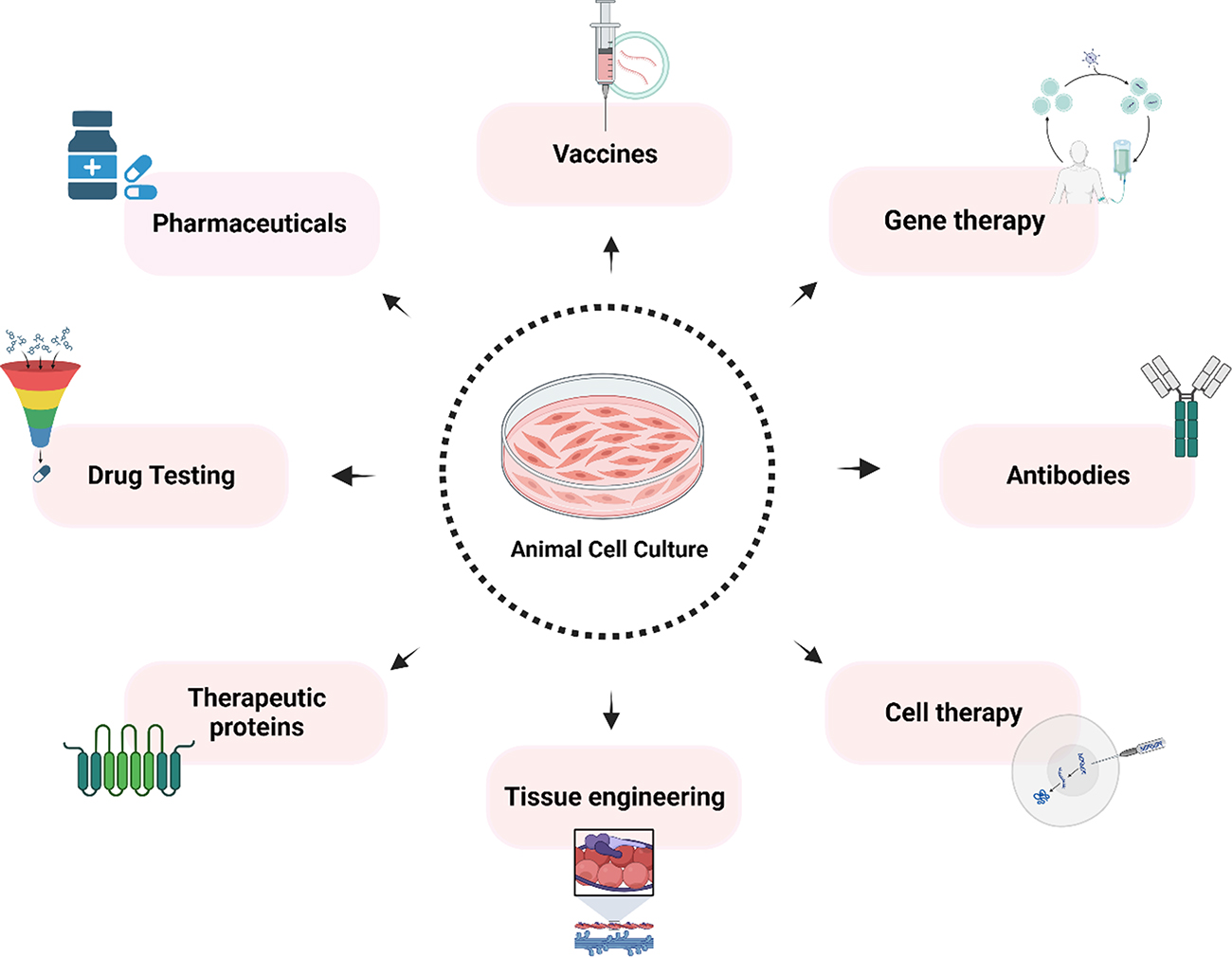 Introduction to animal tissue culture science - Book chapter - IOPscience