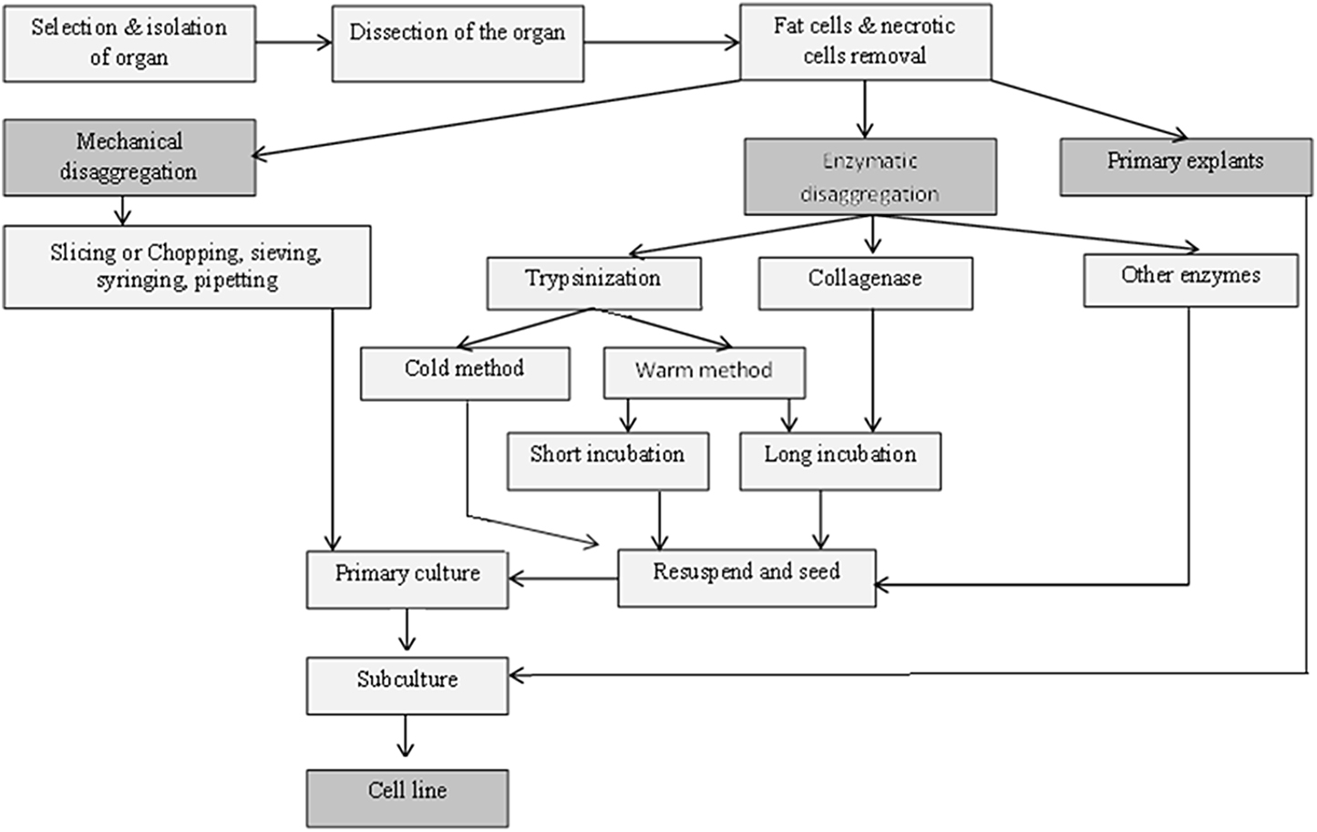 Introduction to animal tissue culture science - Book chapter - IOPscience