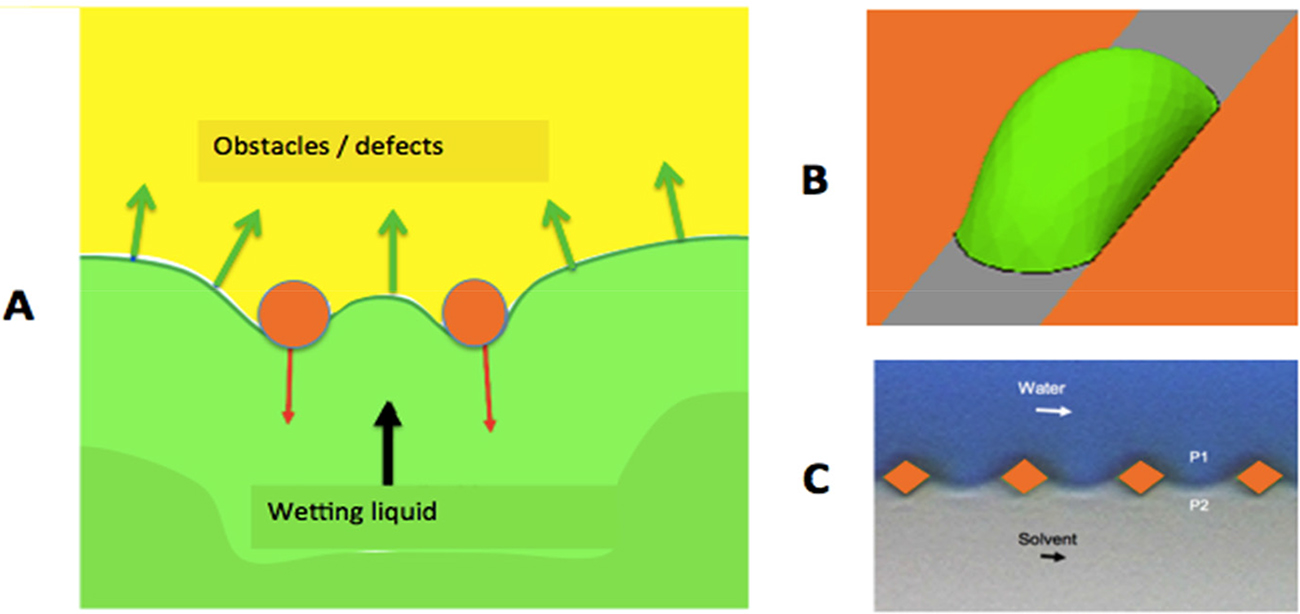 The theoretical basis of capillarity - Book chapter - IOPscience