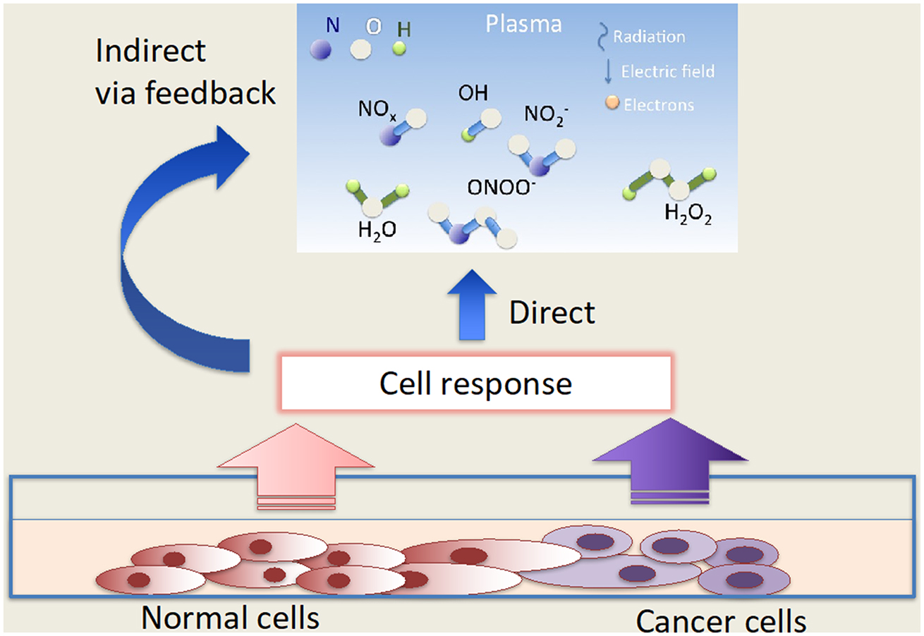 Introduction to non-thermal plasma physics - Book chapter - IOPscience