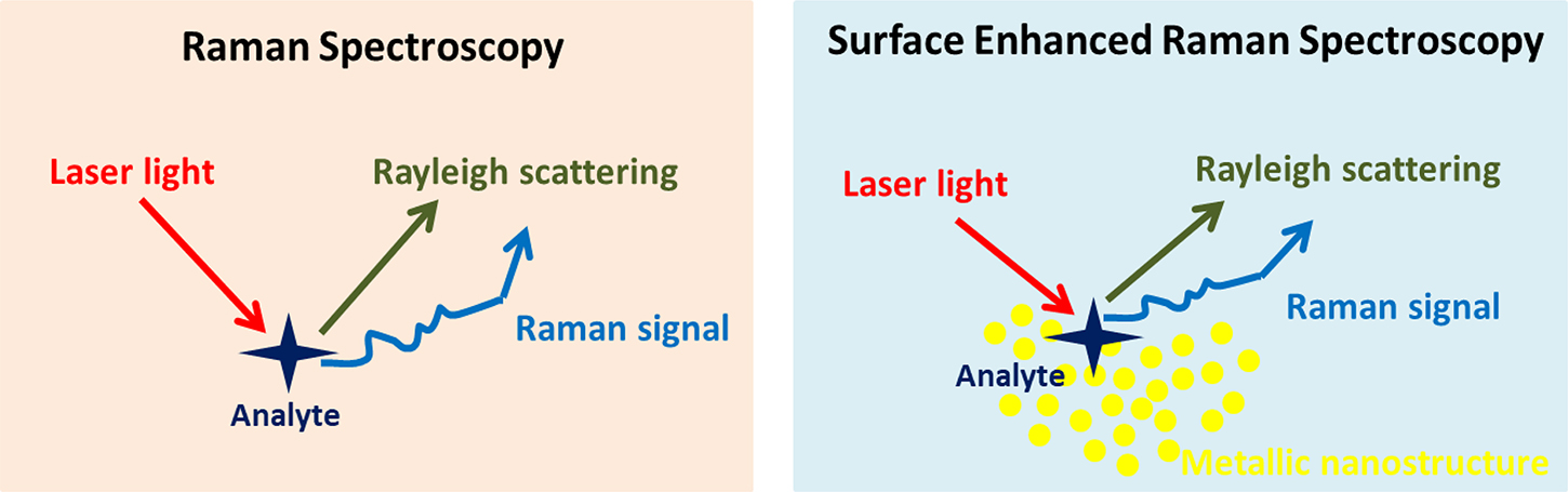 Fabrication of surface-enhanced Raman scattering based lateral flow ...