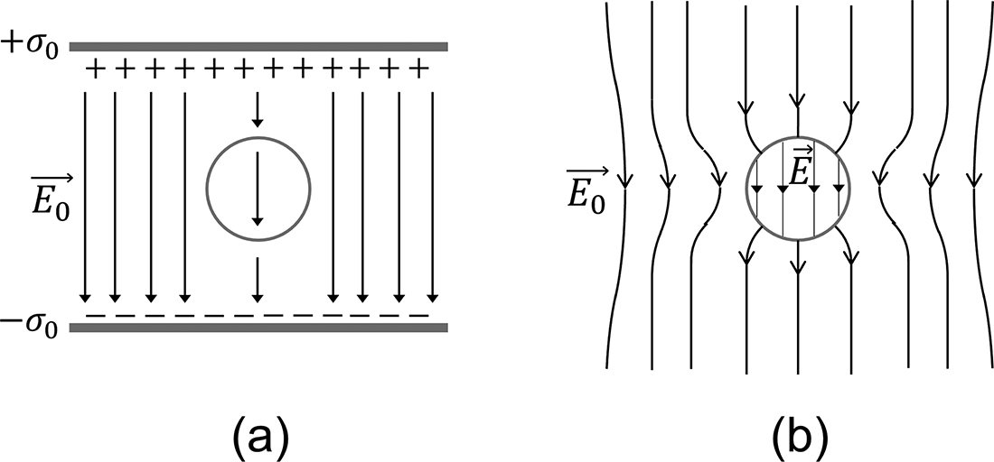Dielectric materials - Book chapter - IOPscience