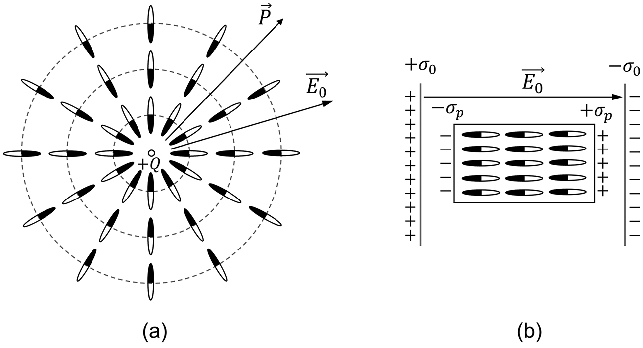 Dielectric materials - Book chapter - IOPscience