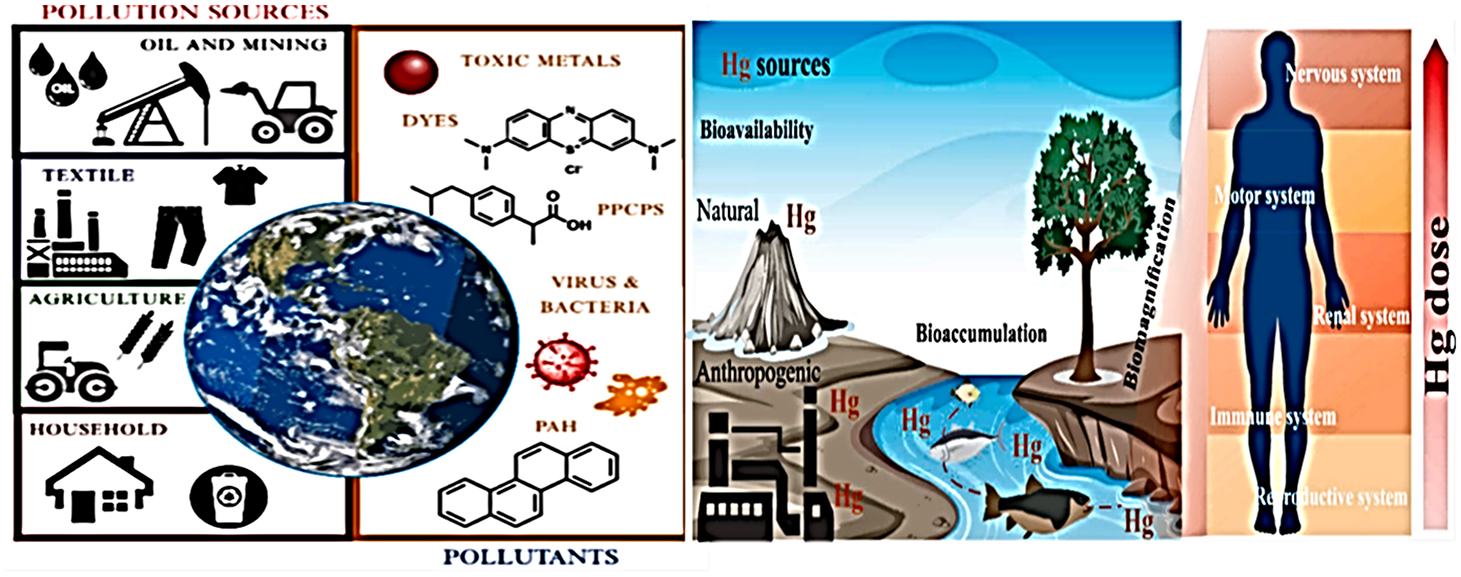 The application of magnetic sorbents in soil decontamination - Book ...