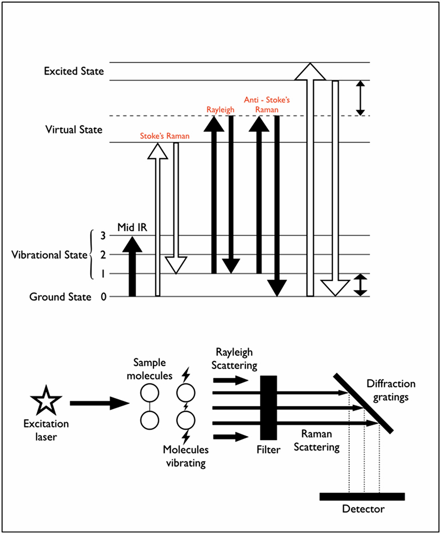 Fundamentals of surface-enhanced Raman spectroscopy in diagnostics ...
