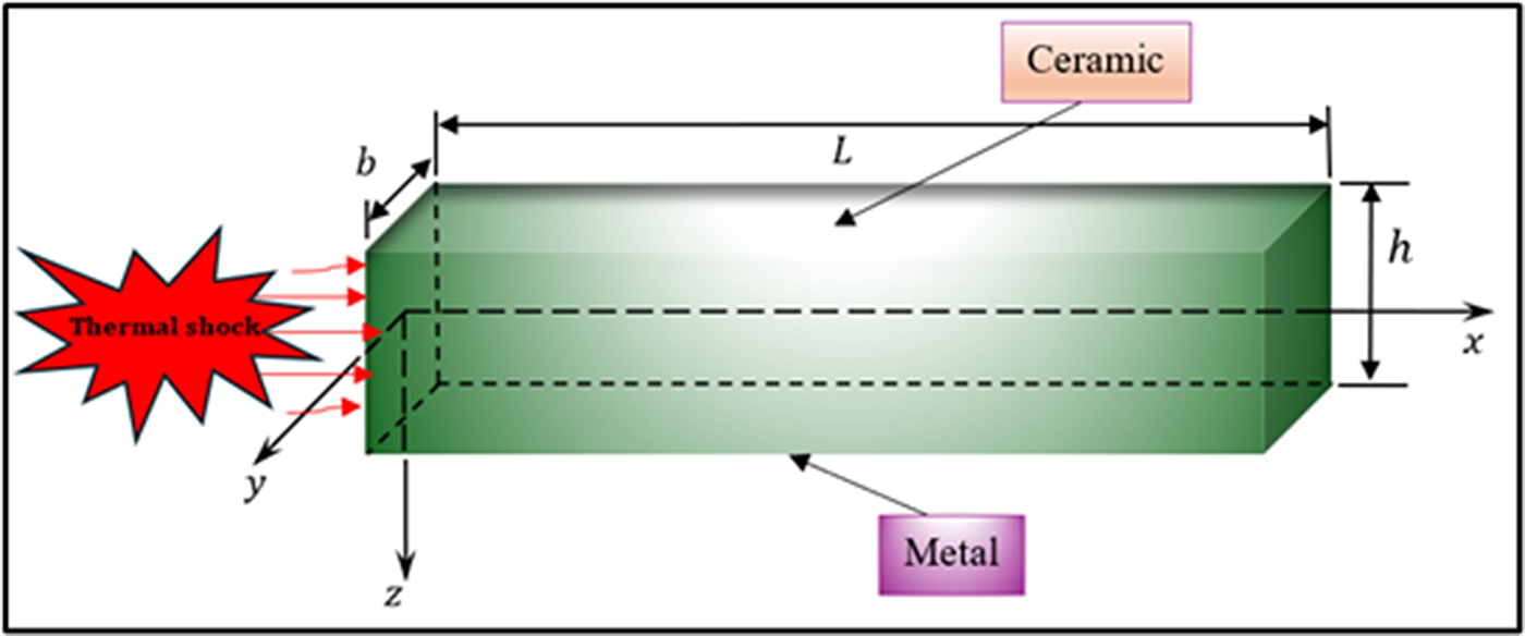 Functionally graded micro and nanostructures: introduction, modeling ...