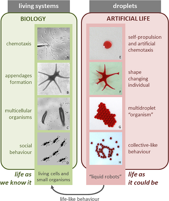 Physics for understanding life - Book chapter - IOPscience