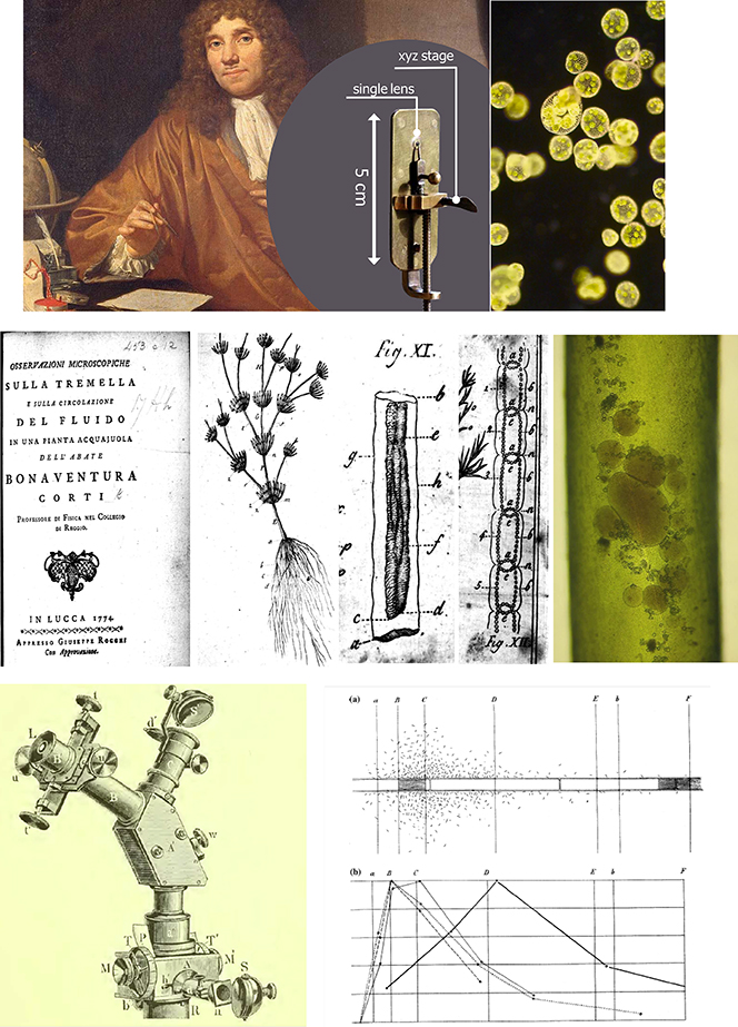 Physics for understanding life - Book chapter - IOPscience