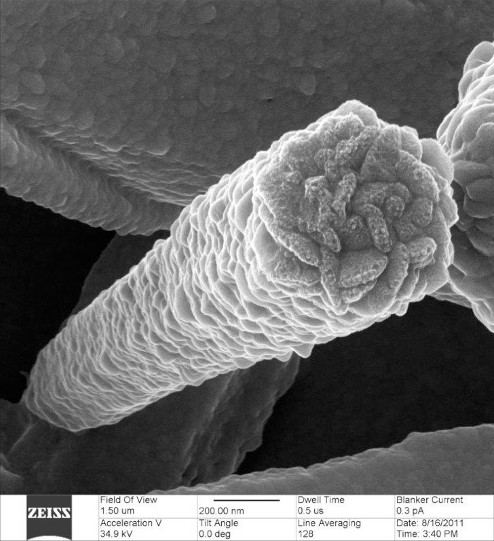 Ion–solid interactions - Book chapter - IOPscience