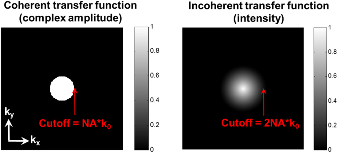 Basic concepts in Fourier optics - Book chapter - IOPscience