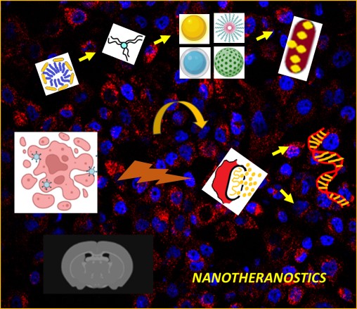 IOPscience - Advances in Nanomedicine for Cancer Theranostics