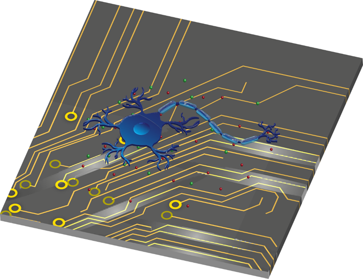 Focus on Flexible and Printed Iontronics - IOPscience