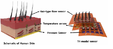 Focus on Printed Bioelectronics - IOPscience
