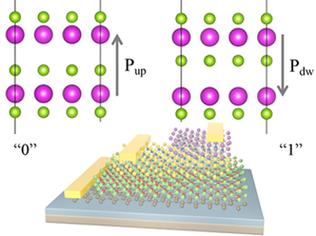 IOPscience - Focus on 2D Ferroelectrics