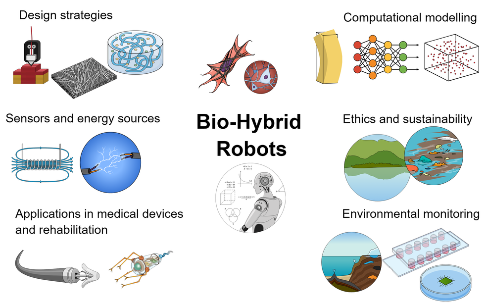 Focus Issue on Bio-hybrid Robots: Enabling Technologies to Boost the ...