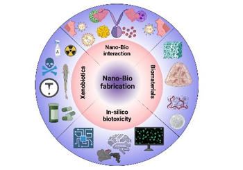 IOPscience - Focus issue on Green and Sustainable Nano-Biofabrication ...