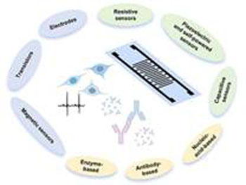 IOPscience - Focus on Microengineering for Biomedical Sensors