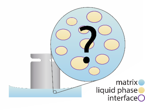 IOPscience - Focus Issue on Materials with Liquid Inclusions