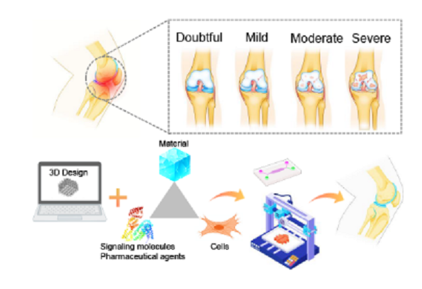 IOPscience - Focus Issue on Advancements in Biofabrication and ...