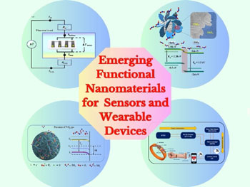IOPscience - Focus on Emerging Functional Nanomaterials for Sensors and Wearable Devices