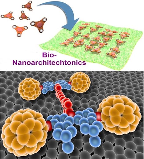 IOPscience - Focus on Intelligent Materials of Bio-nanoarchitectonics