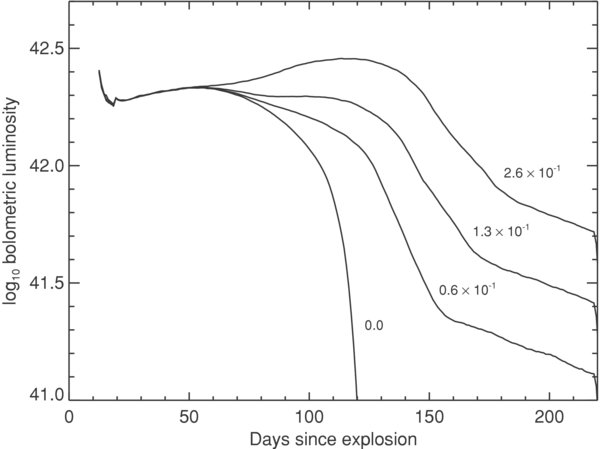 TYPE II SUPERNOVAE: MODEL LIGHT CURVES AND STANDARD CANDLE ...