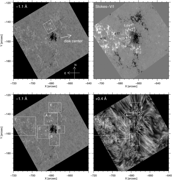 ELLERMAN BOMBS AT HIGH RESOLUTION. I. MORPHOLOGICAL EVIDENCE FOR ...