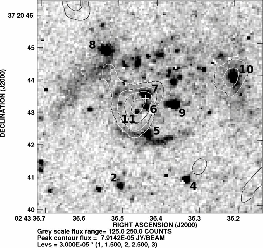 IT'S ALIVE! THE SUPERNOVA IMPOSTOR 1961V - IOPscience