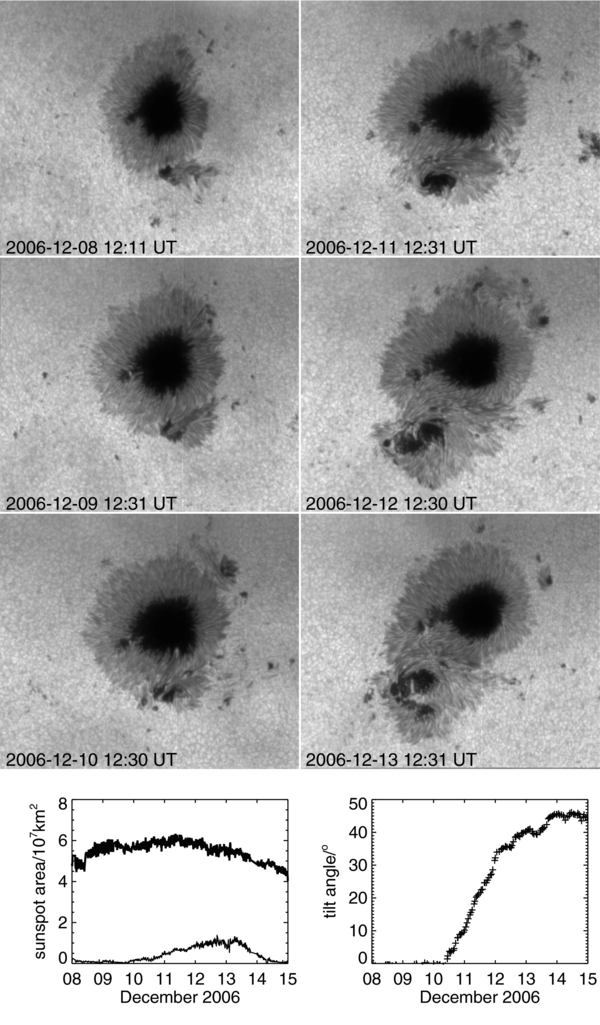 MAGNETIC HELICITY TRANSPORTED BY FLUX EMERGENCE AND SHUFFLING MOTIONS ...