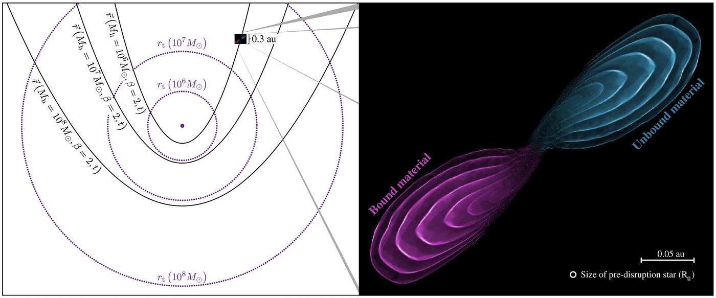 THE DYNAMICS, APPEARANCE, AND DEMOGRAPHICS OF RELATIVISTIC JETS ...