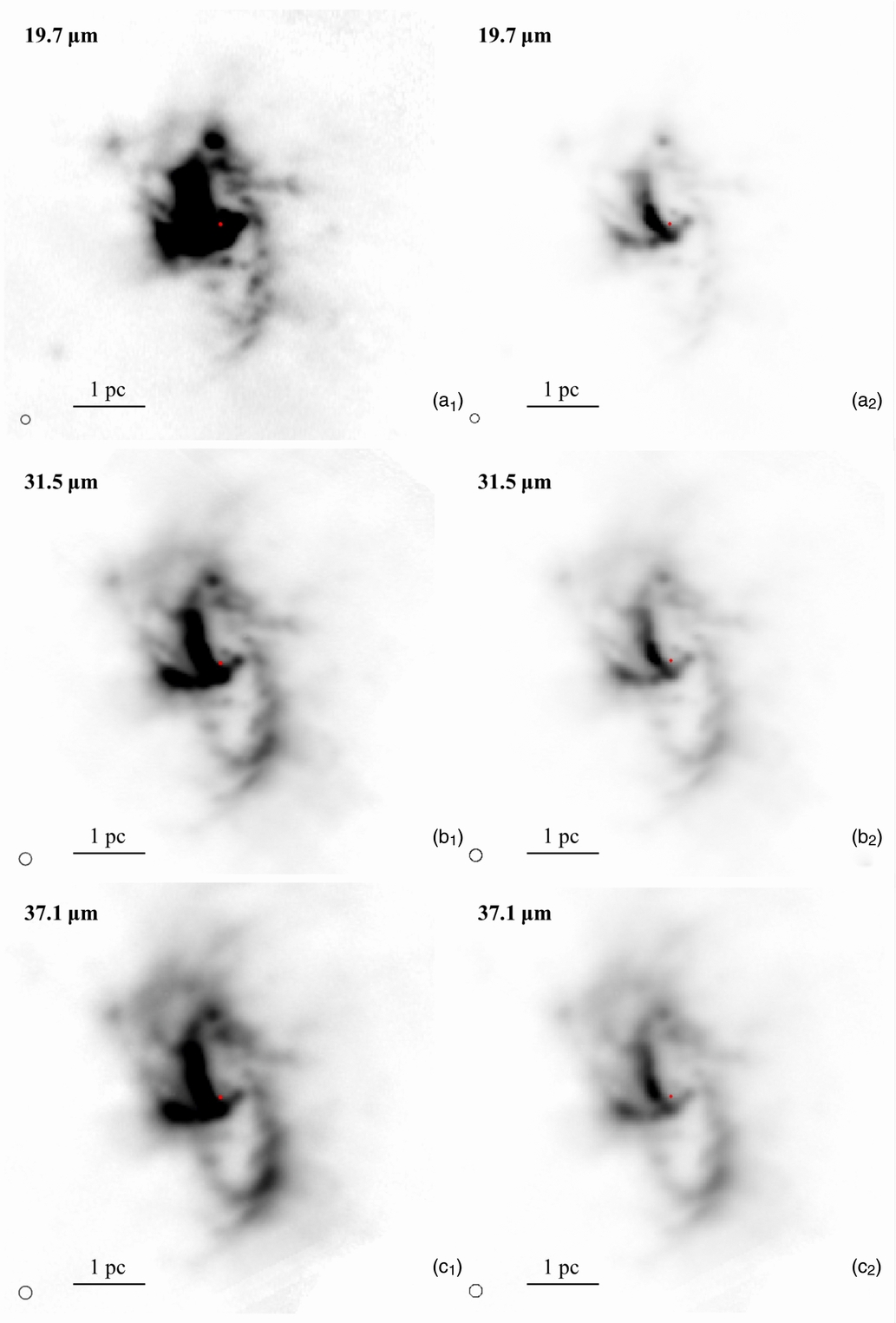 SOFIA/FORCAST IMAGING OF THE CIRCUMNUCLEAR RING AT THE GALACTIC CENTER - IOPscience
