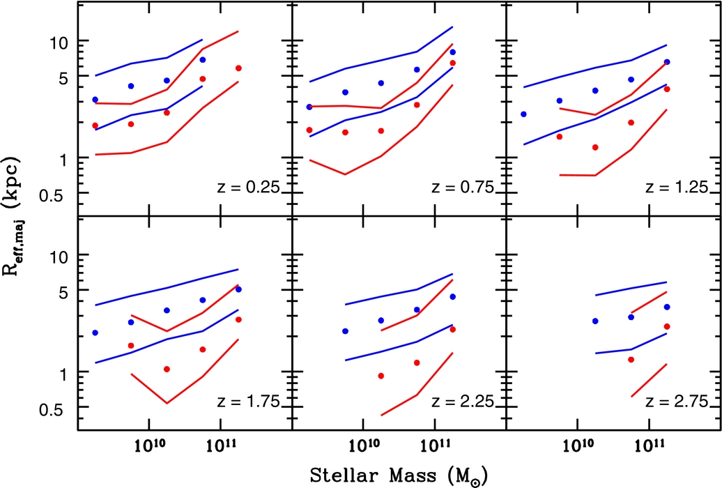 3D-HST+CANDELS: THE EVOLUTION OF THE GALAXY SIZE–MASS DISTRIBUTION ...