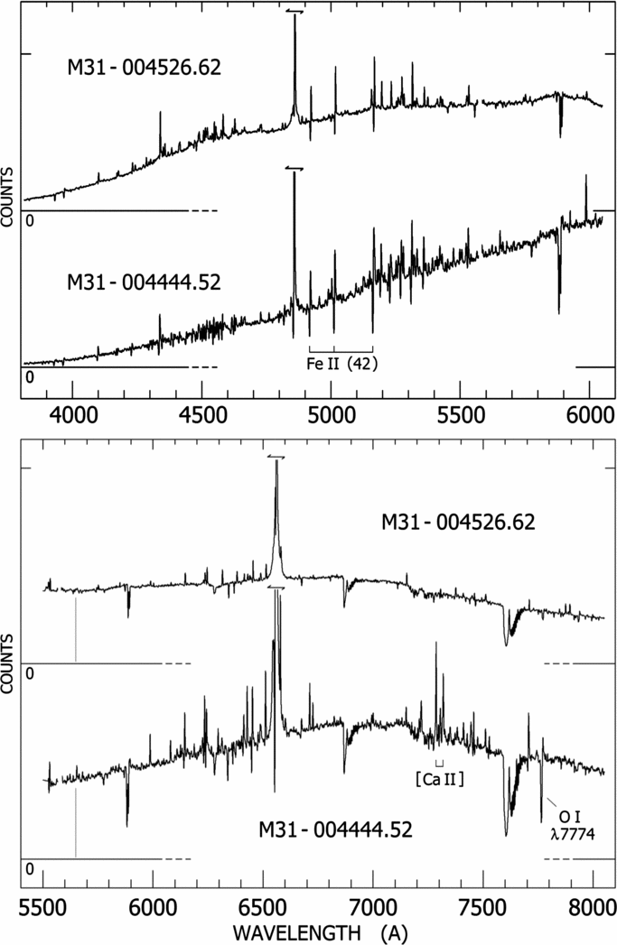 LUMINOUS AND VARIABLE STARS IN M31 AND M33. II. LUMINOUS BLUE VARIABLES ...