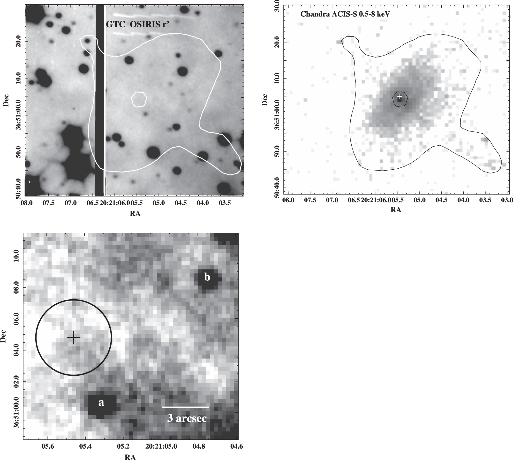 OPTICAL OBSERVATIONS OF PSR J2021+3651 IN THE DRAGONFLY NEBULA WITH THE ...