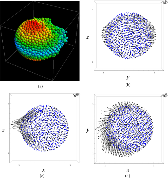 INTERNAL STRUCTURE OF ASTEROIDS HAVING SURFACE SHEDDING DUE TO ROTATIONAL INSTABILITY - IOPscience