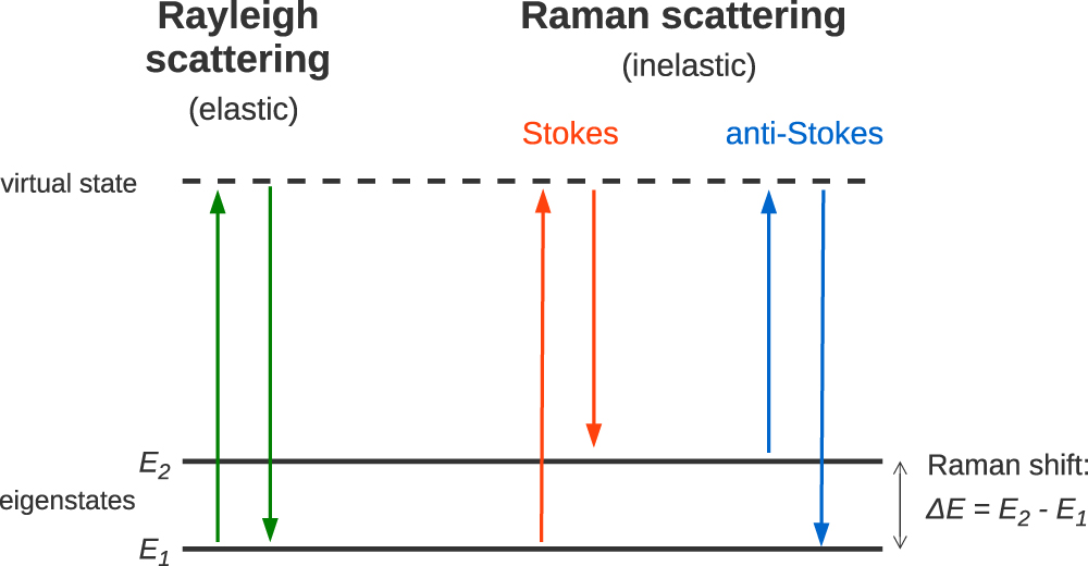 RAMAN SCATTERING BY MOLECULAR HYDROGEN AND NITROGEN IN EXOPLANETARY ...