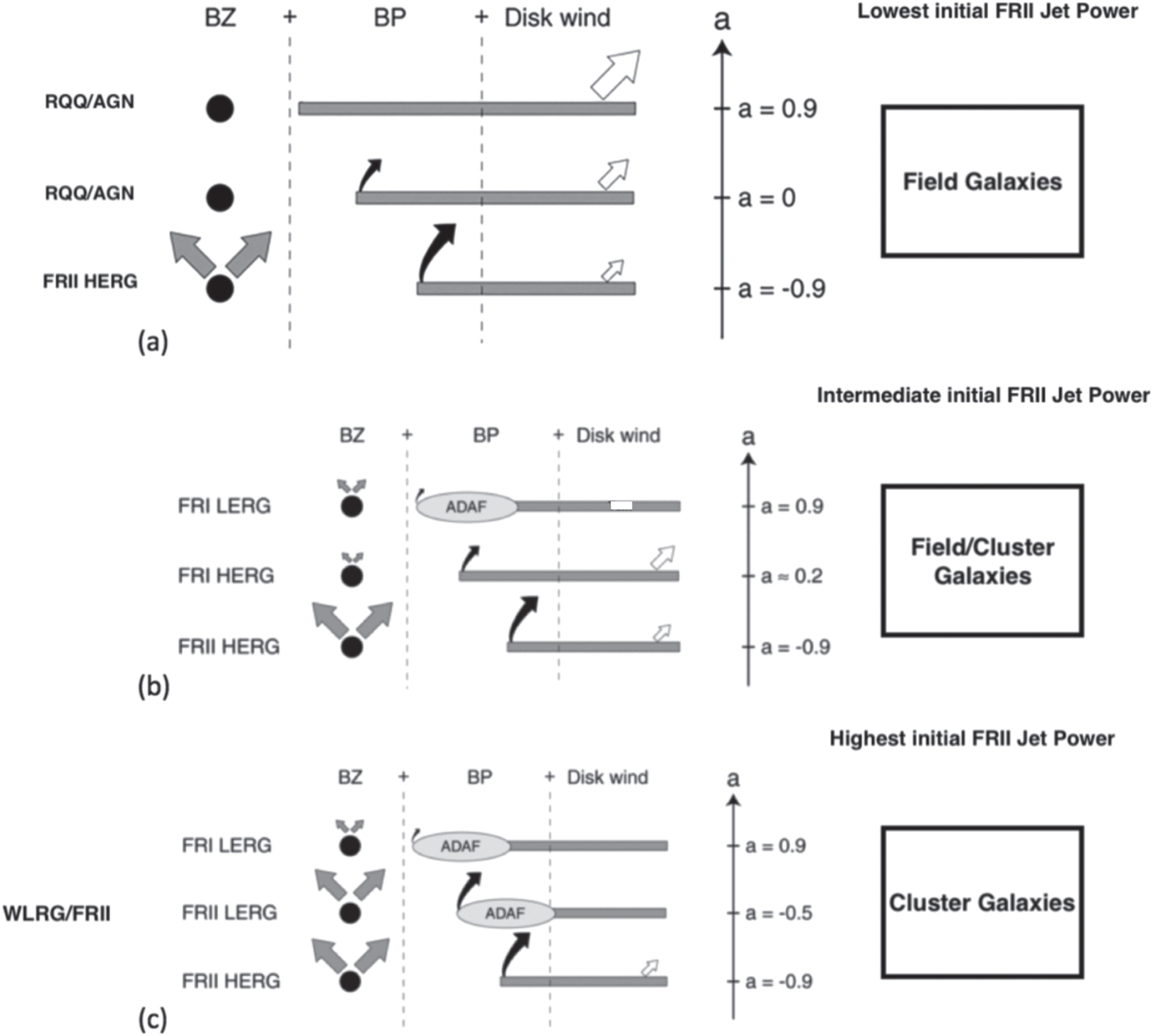FR0 Radio Galaxies and Their Place in the Radio Morphology ...
