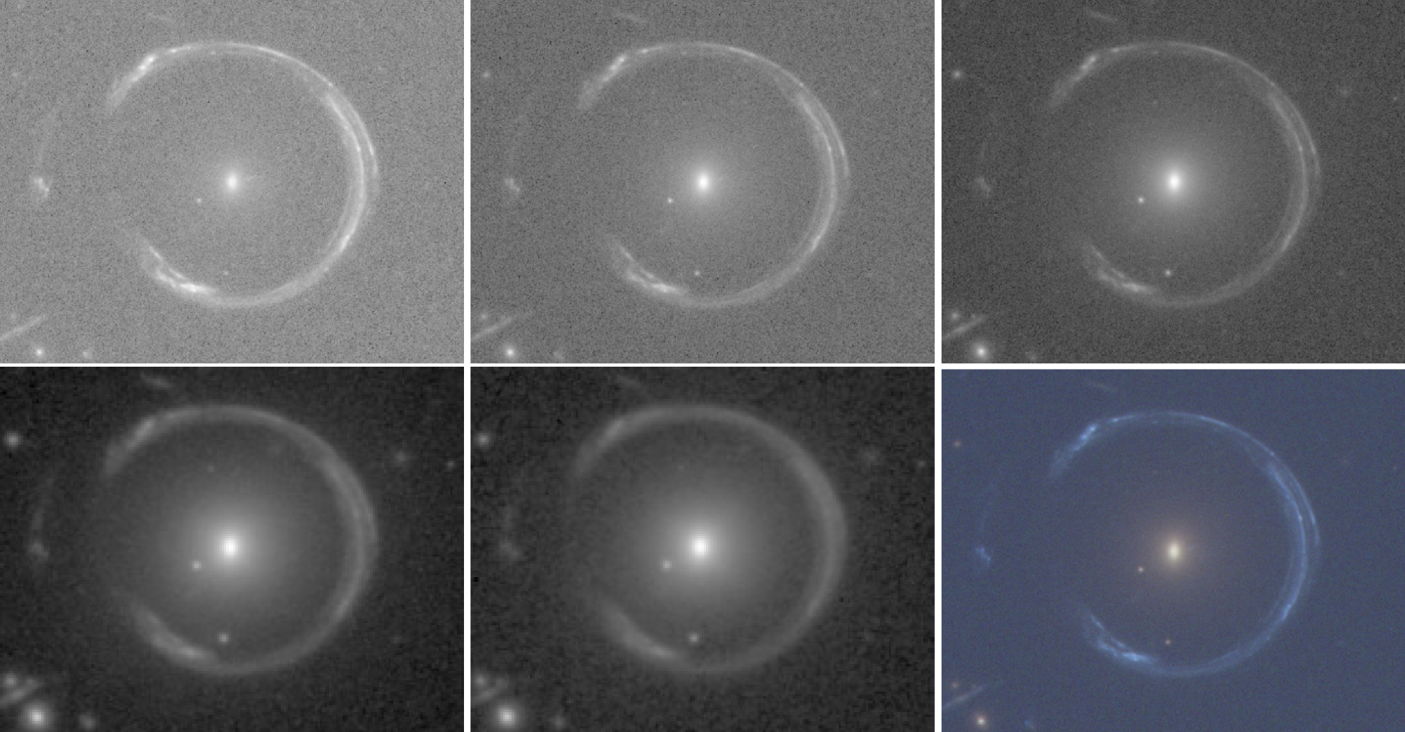 Adaptive Grid Lens Modeling of the Cosmic Horseshoe Using Hubble Space ...