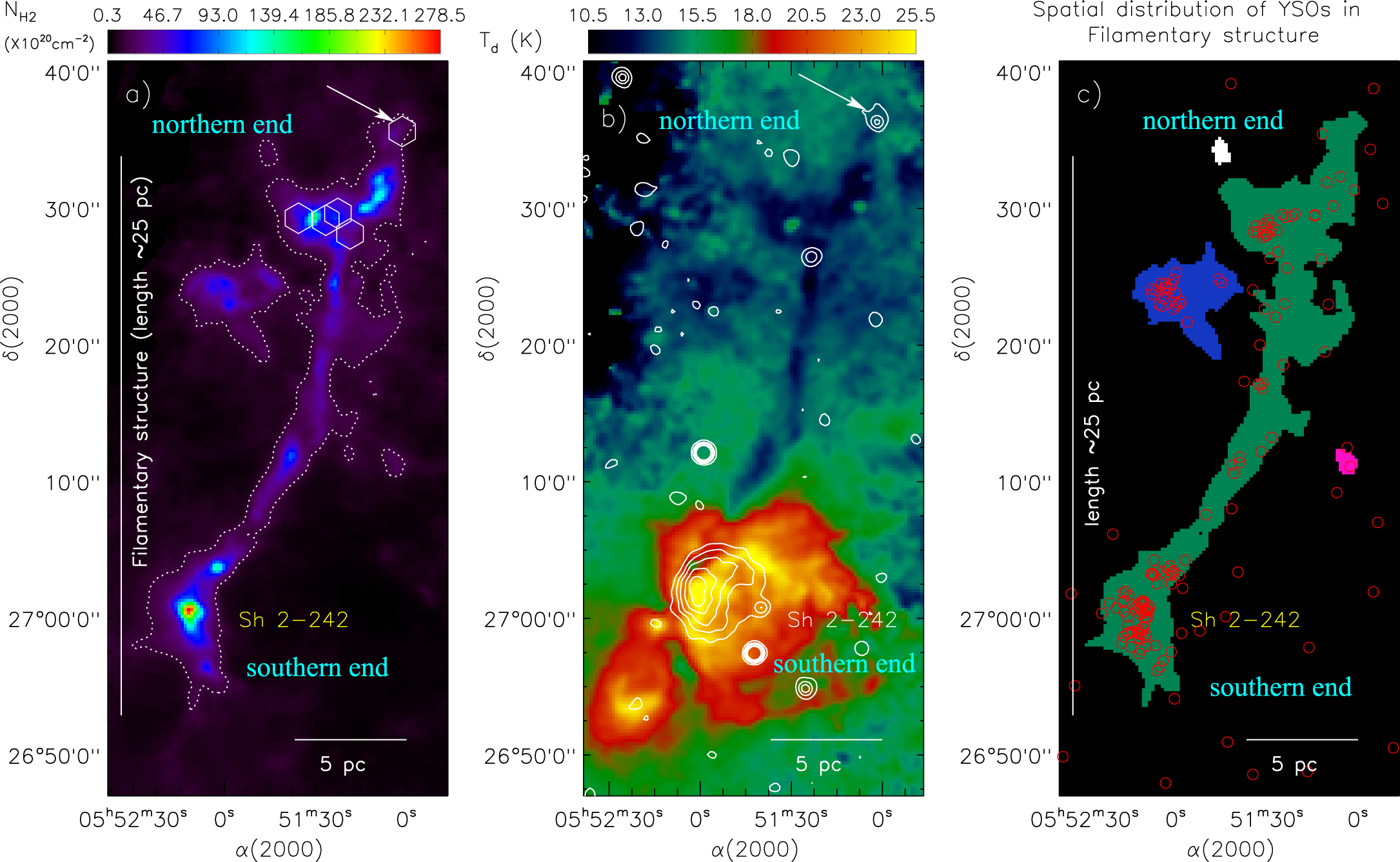 Observational Signatures of End-dominated Collapse in the S242 ...