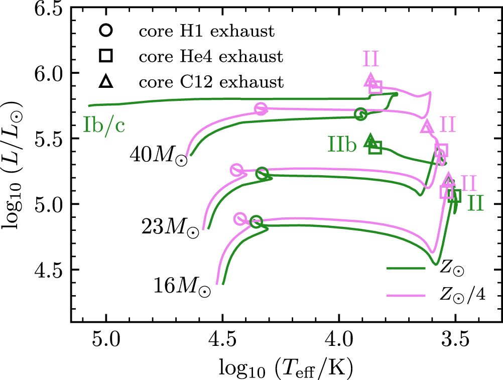 Progenitors of Type IIb Supernovae. I. Evolutionary Pathways and Rates ...