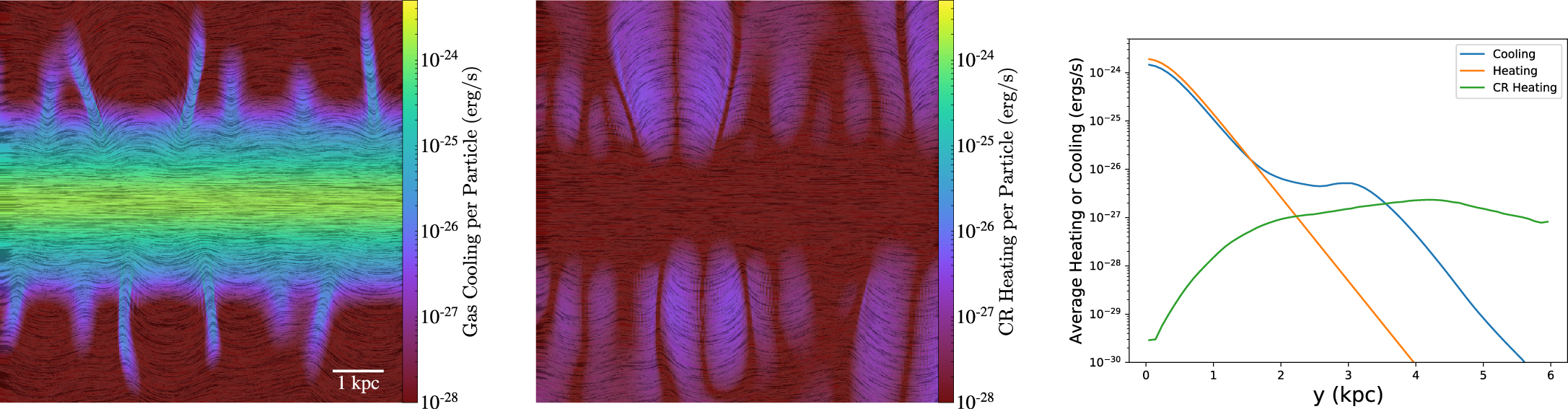 The Role of the Parker Instability in Structuring the Interstellar ...