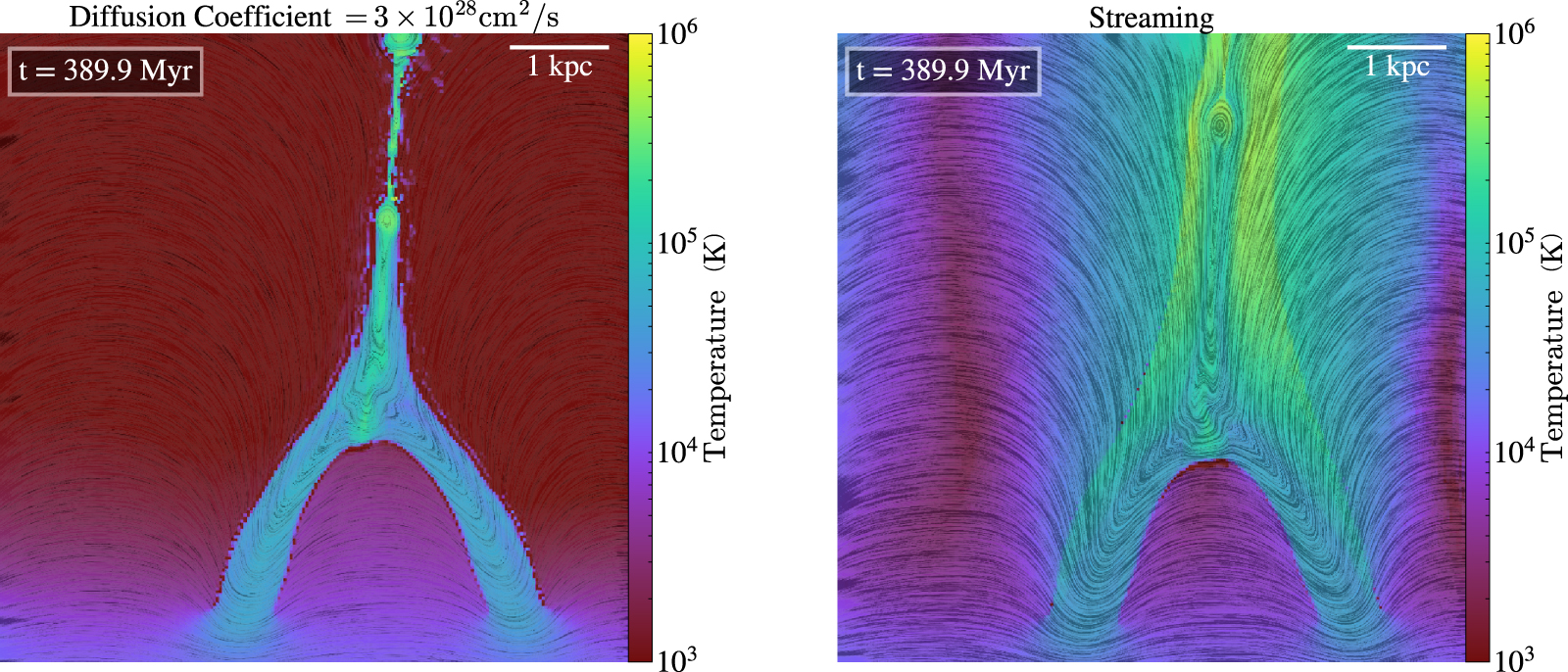 The Role of the Parker Instability in Structuring the Interstellar ...