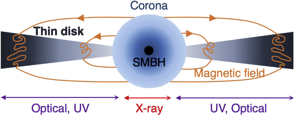 Corona-heated Accretion-disk Reprocessing: A Physical Model to Decipher ...