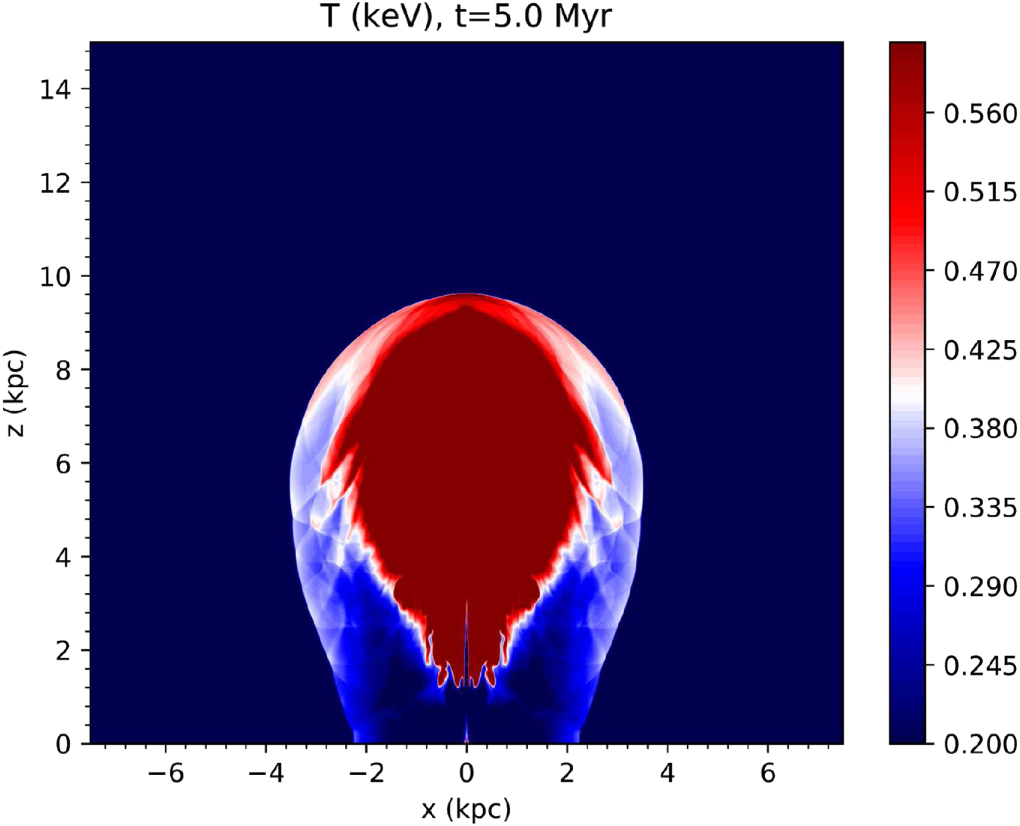 Simulating the Fermi Bubbles as Forward Shocks Driven by AGN Jets ...