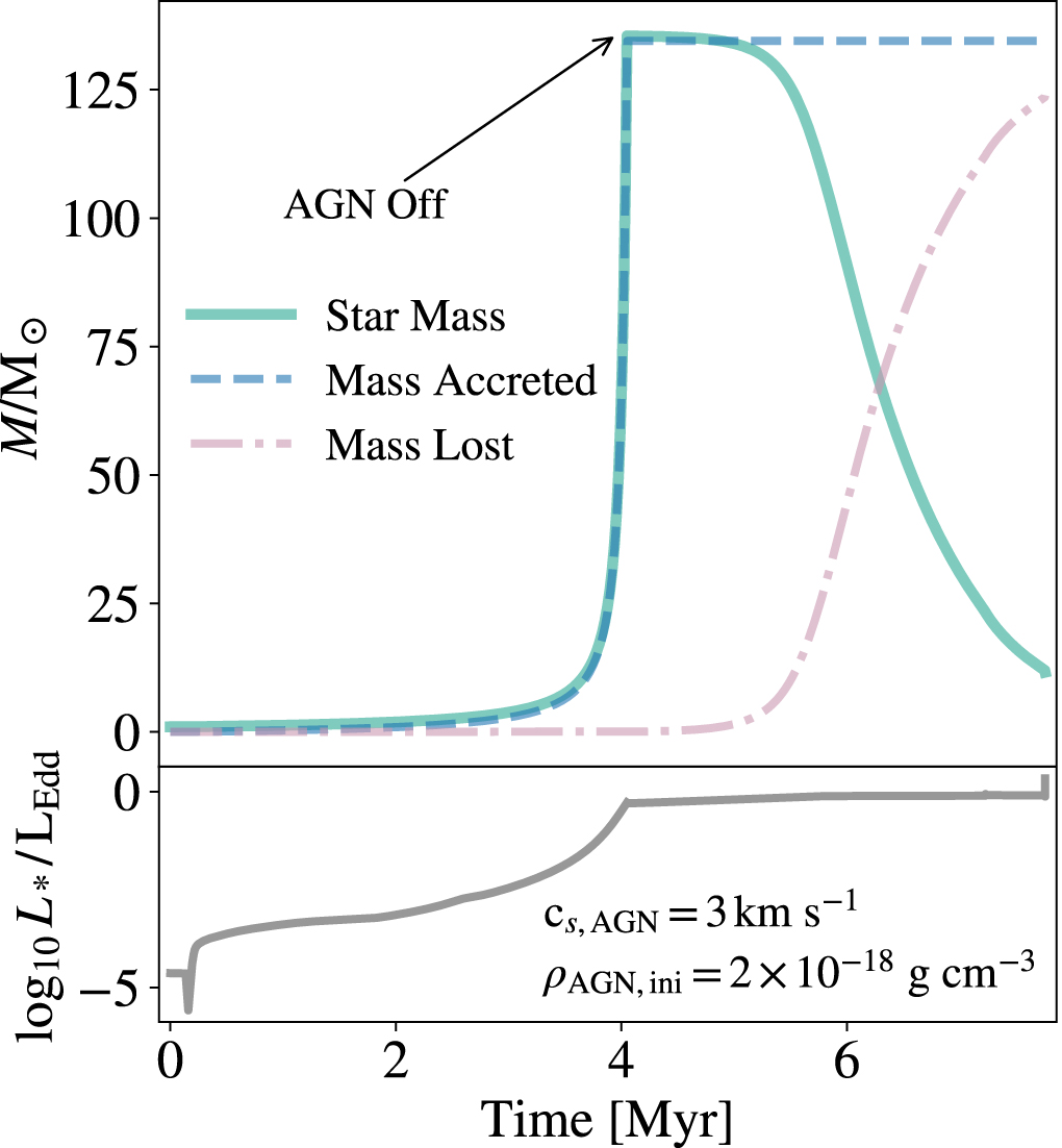 Stellar Evolution in AGN Disks - IOPscience